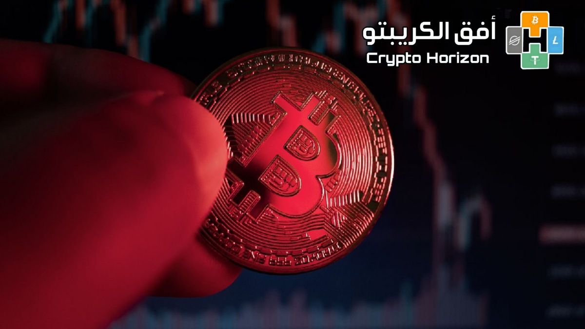 قد ينهار سعر البيتكوين إلى 10 000 دولار إذا حدث هذا الأمر أفق الكريبتو