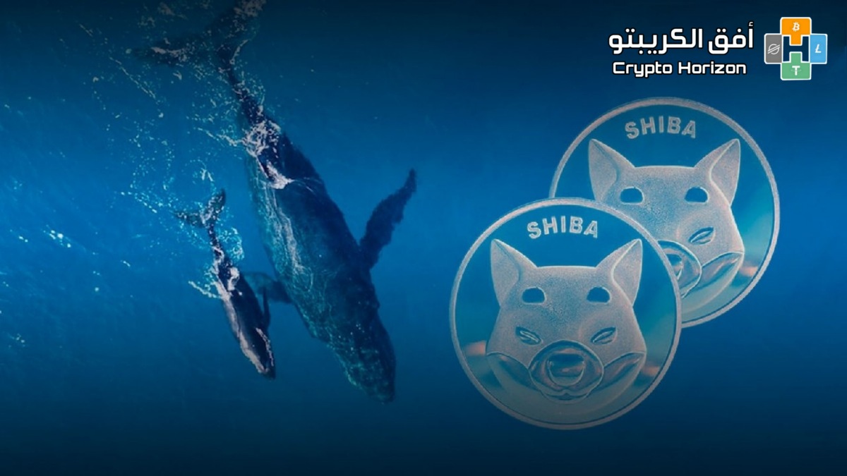 هل حيتان SHIB تؤثر بشكل سلبي على معنويات تجار التجزئة والمستثمرين؟ - أفق الكريبتو